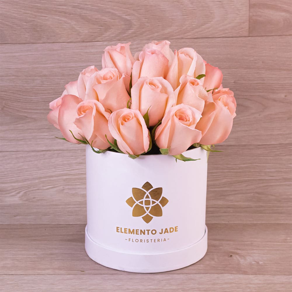 Box Rosas Princesas - Elemento Jade
